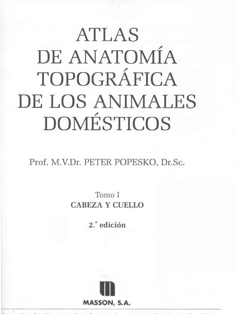 Popesko Peter - Atlas de Anatomia Topografica de Los Animales ...