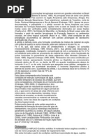 Características dos Vertissolos no Brasil | PDF | Solo | Irrigação