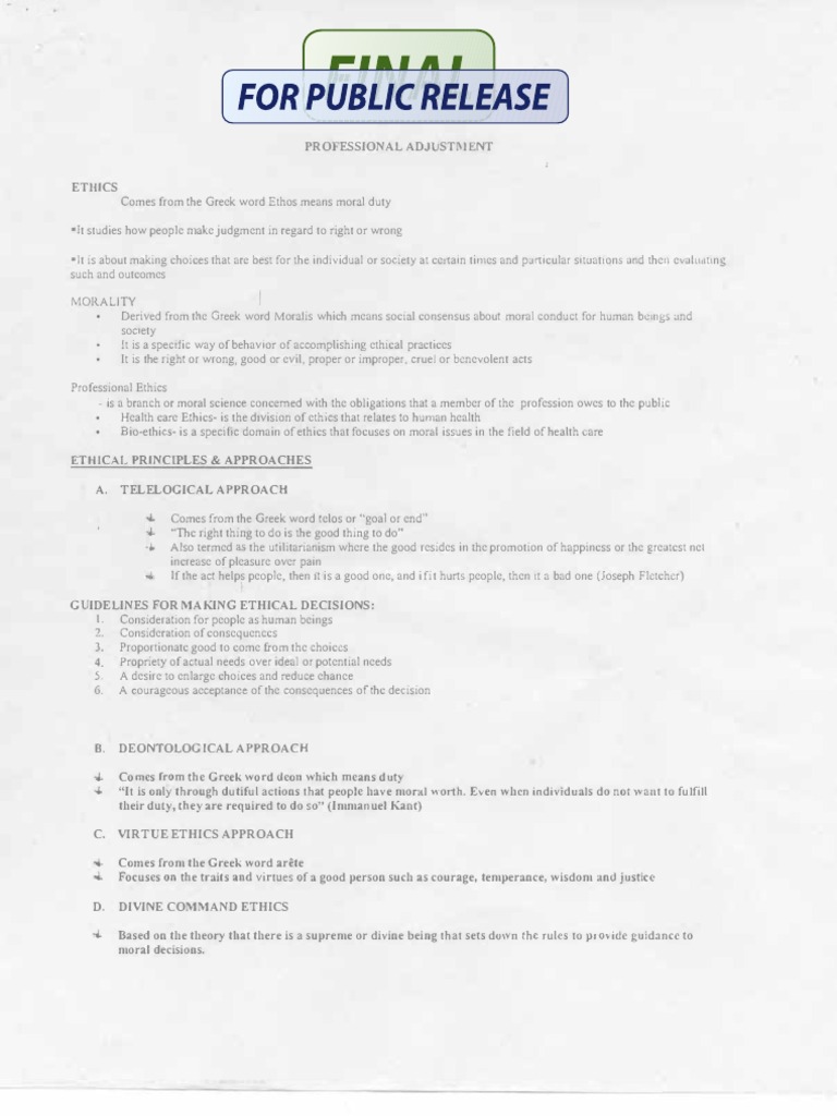 Professional Adjustment in Nursing | PDF | Intravenous Therapy | Defamation