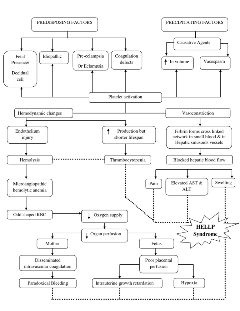 HELLP Pathophysiology | PDF