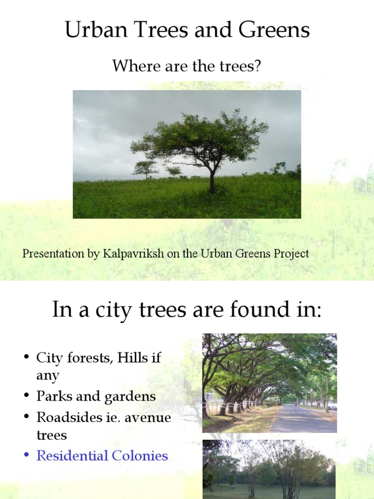 Urban Trees And Greens Download Free Pdf Trees Root