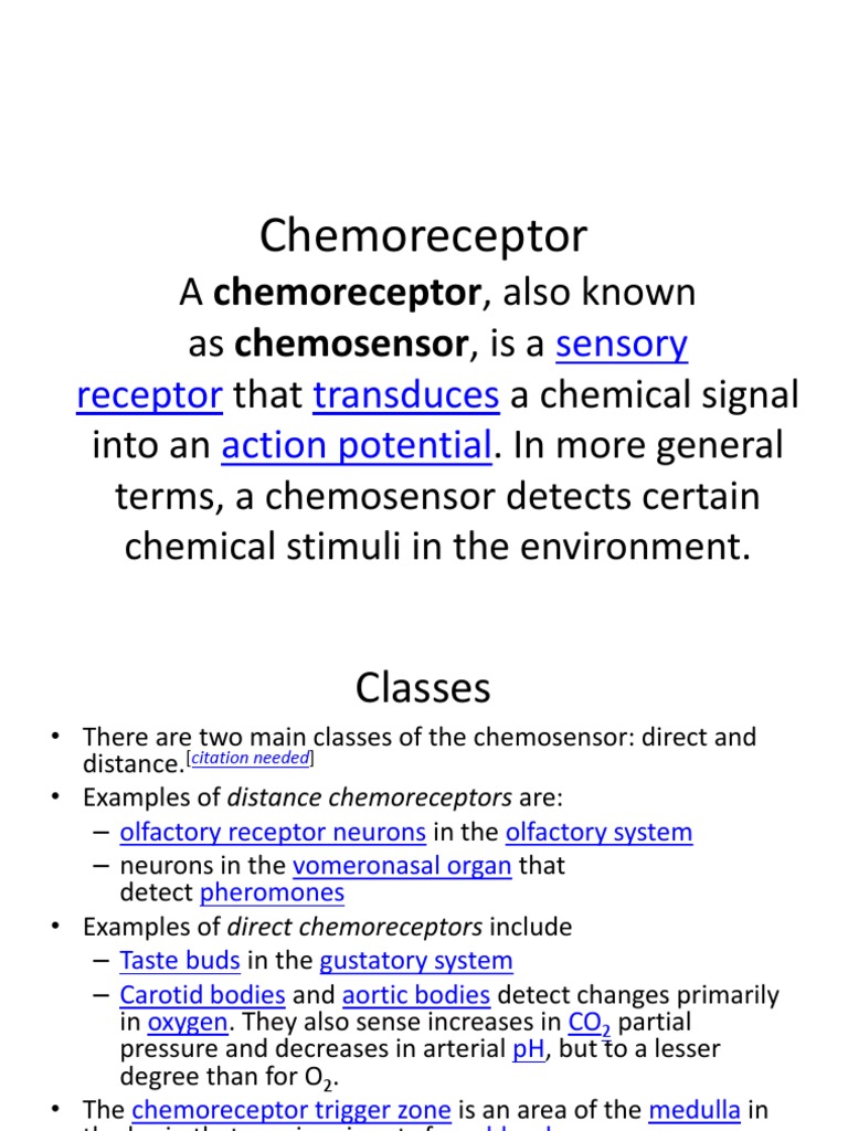 Chemo Receptor | PDF | Animal Physiology | Neuroscience