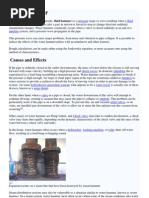 Pressure Test Report For Water Supply Piping | PDF | Pressure | Leak