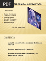 Inervación de La Laringe | PDF