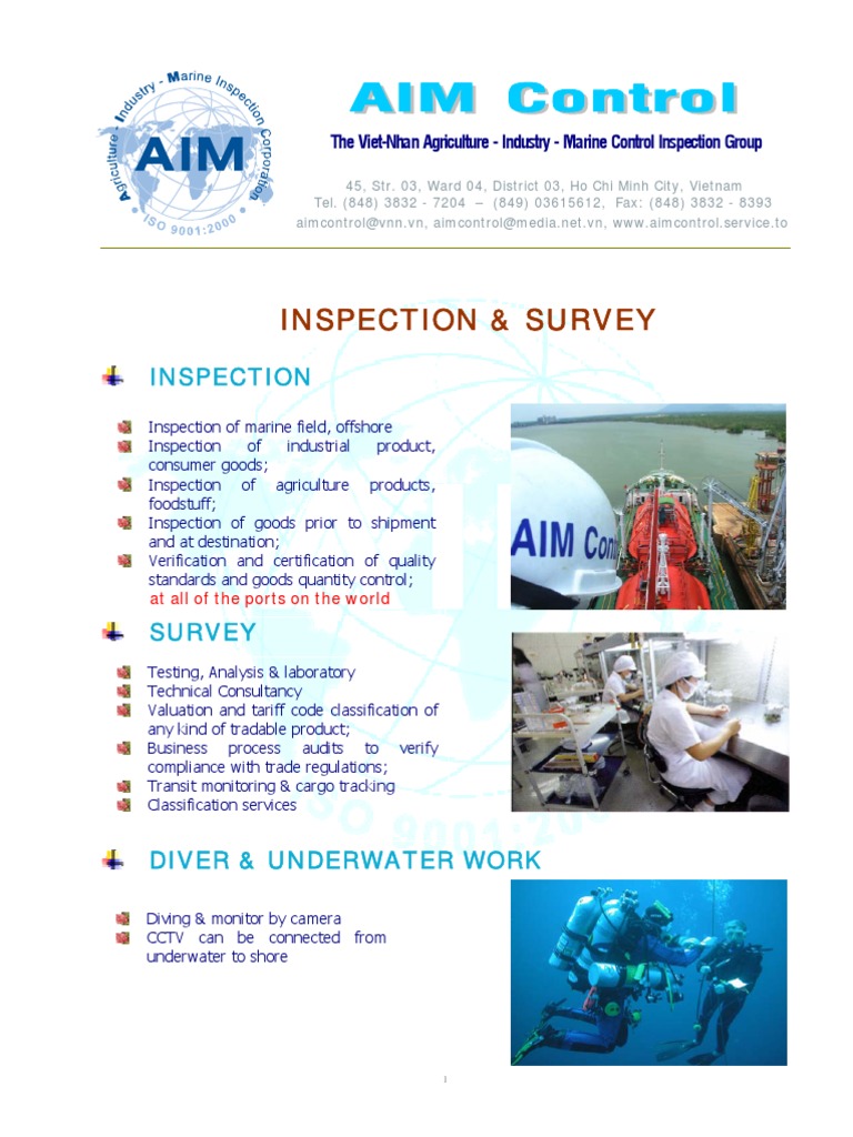 International Inspection, Surveyors & Testing Services | PDF | Fuel Oil ...