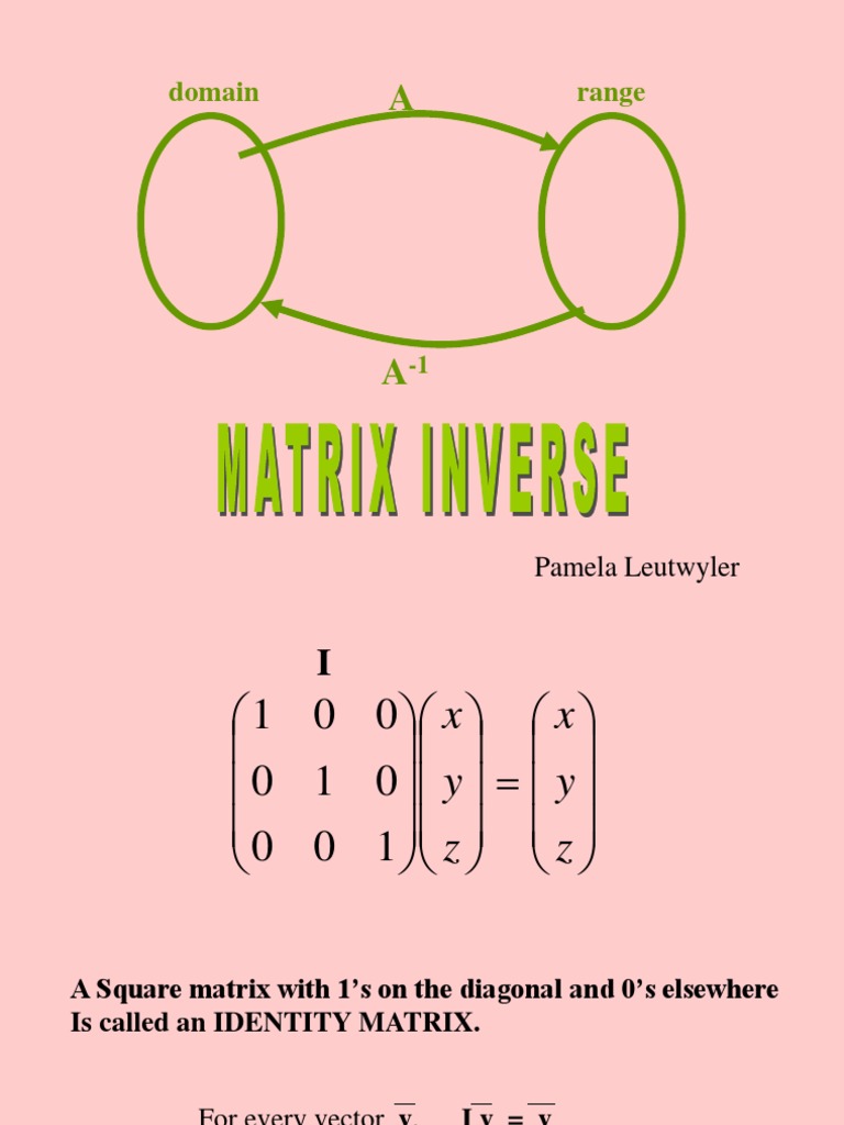 Domain Range: Pamela Leutwyler | PDF | Matrix (Mathematics) | Rotation