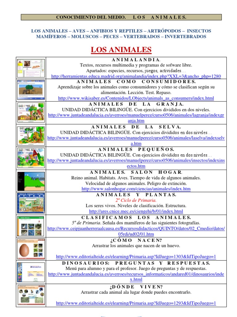 Clasificación de Animales para Primaria | PDF | Invertebrado | Aves