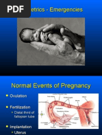 Understanding TPAL and GPA Terminology | PDF | Pregnancy | Childbirth