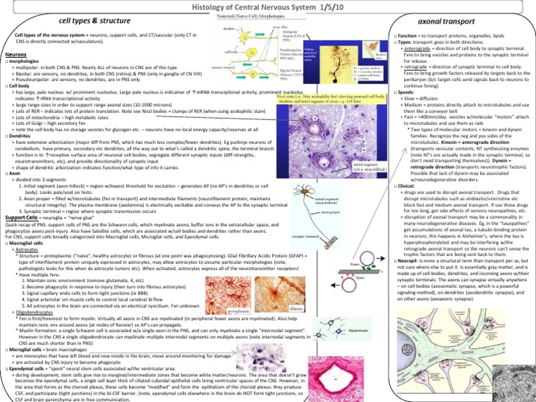 Histology of CNS | PDF | Axon | Dendrite