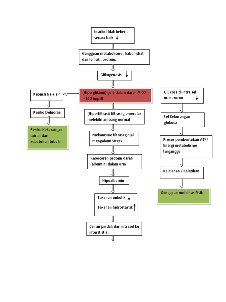 Patofisiologi Nefropati Diabetik | PDF | Gaya Hidup