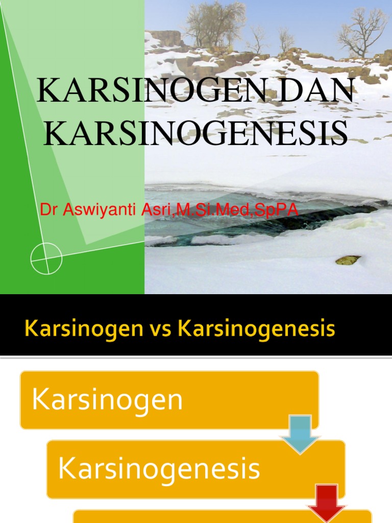 Karsinogen Dan Karsinogenesis | PDF | Epigenetics | Dna