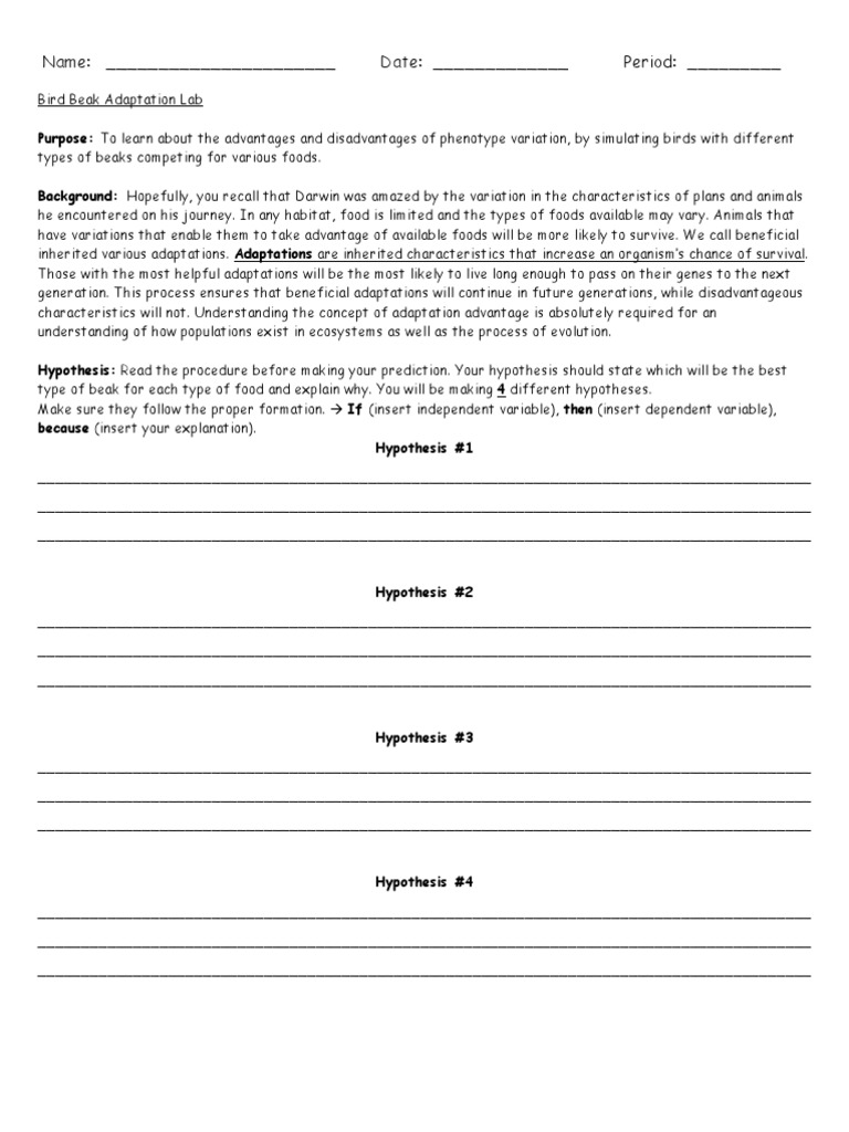 Bird Beak Adaptation Lab | PDF | Adaptation | Biological Evolution