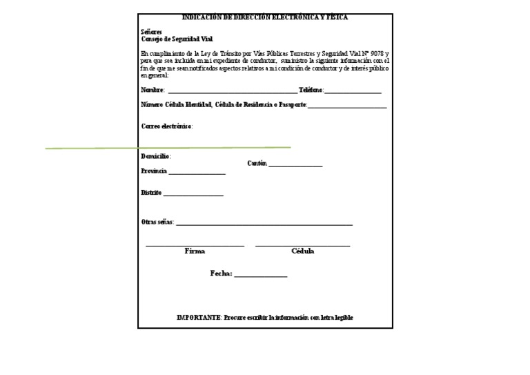 Formulario COSEVI | PDF