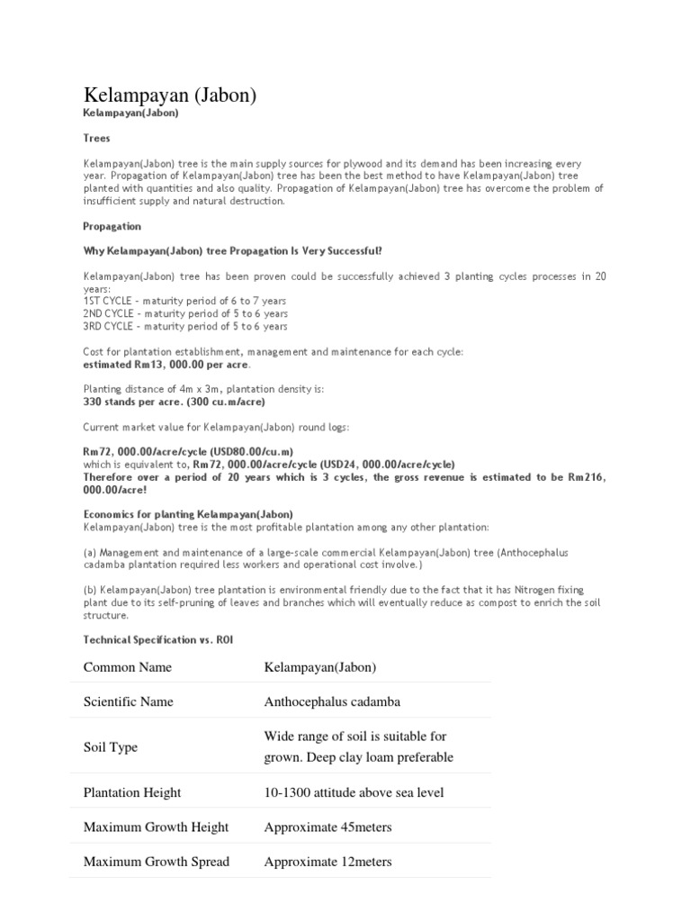 Kelampayan | PDF | Plantation | Trees