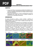 Medio de Transporte Stuart en Microbiología | PDF | Patologia clinica ...