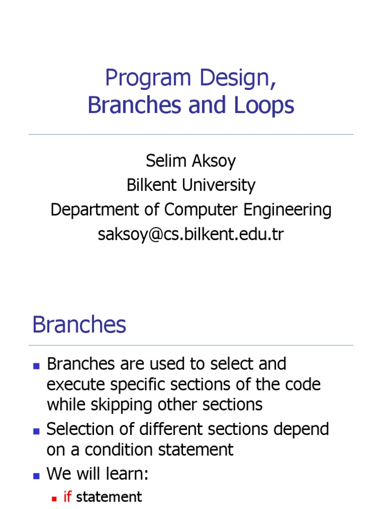 Program Design, Branches and Loops | PDF | Control Flow | Quadratic ...