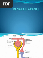 Totilac | PDF | Lactic Acid | Intravenous Therapy