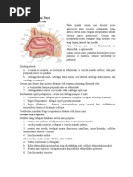 Anatomi Cavum Oris | PDF | Kajian Bahasa Asing