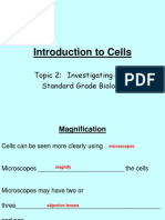 Onion Staining and Cell Size | PDF | Microscopy