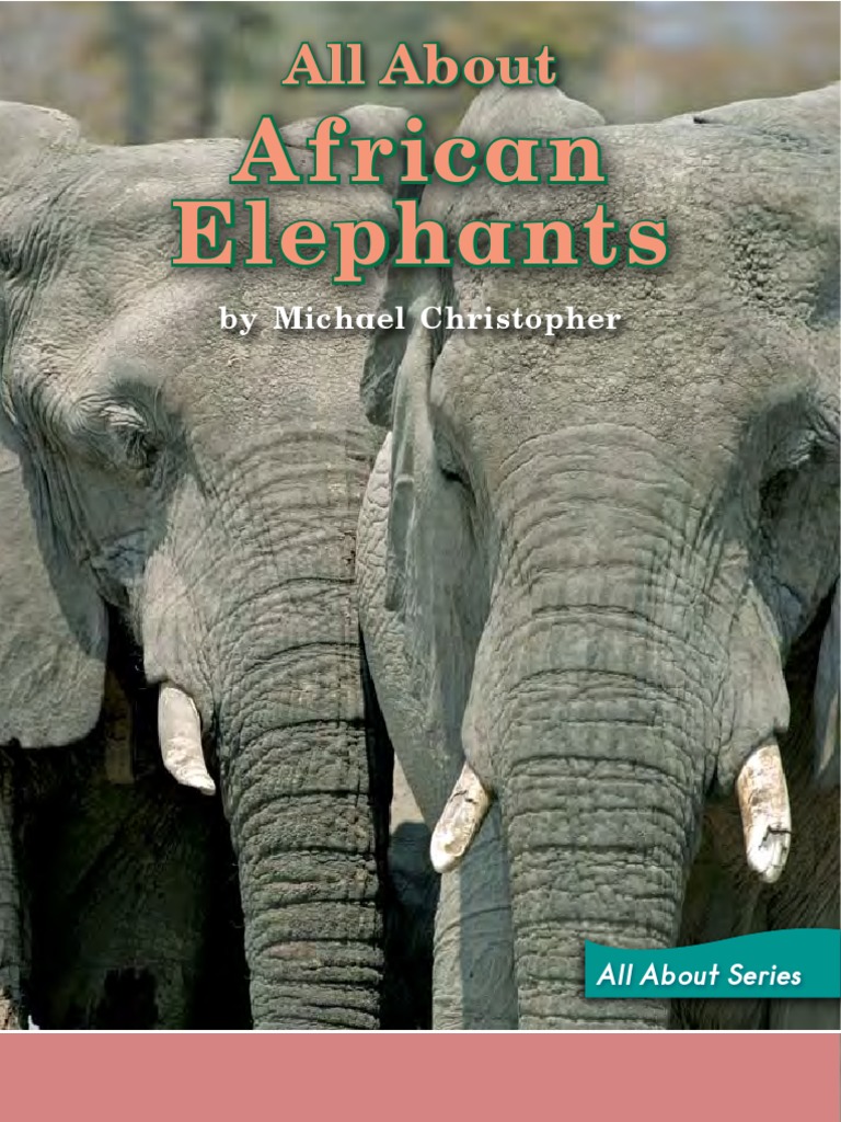All About African Elephants | PDF | Proboscideans | Elephant