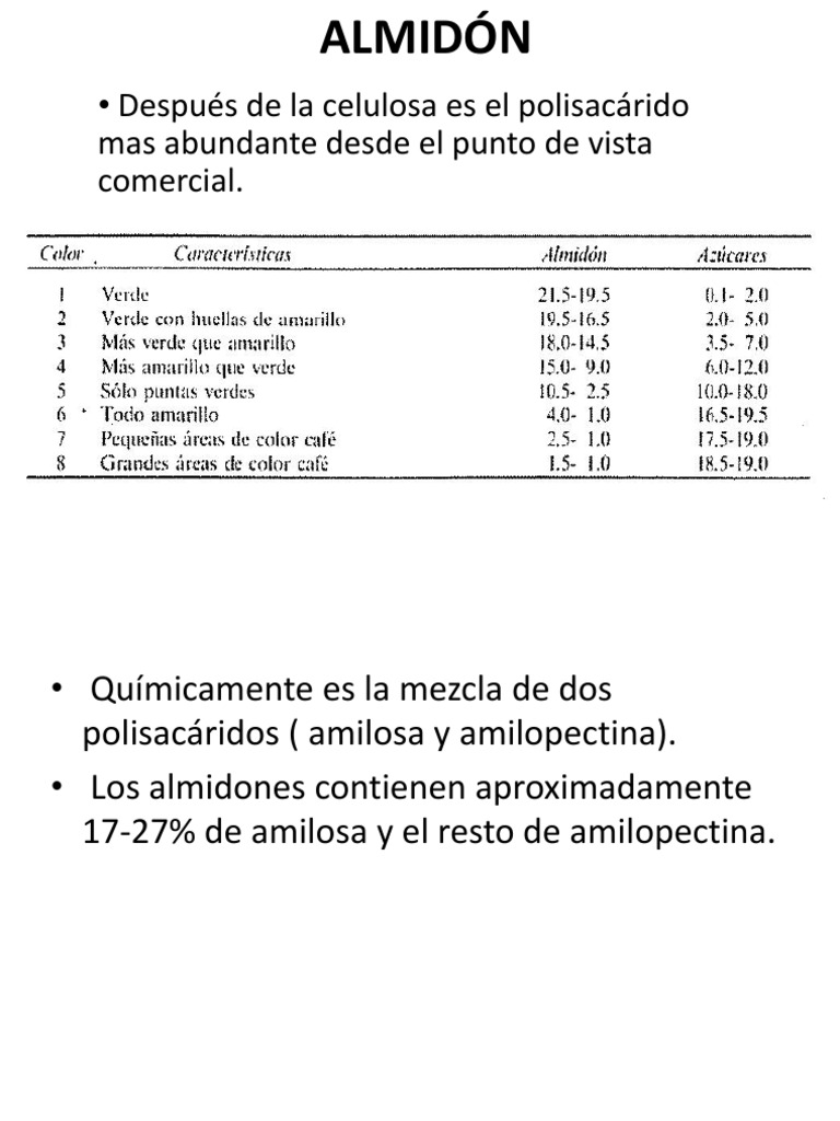 ALMIDÓN | PDF | Almidón | Polímeros orgánicos