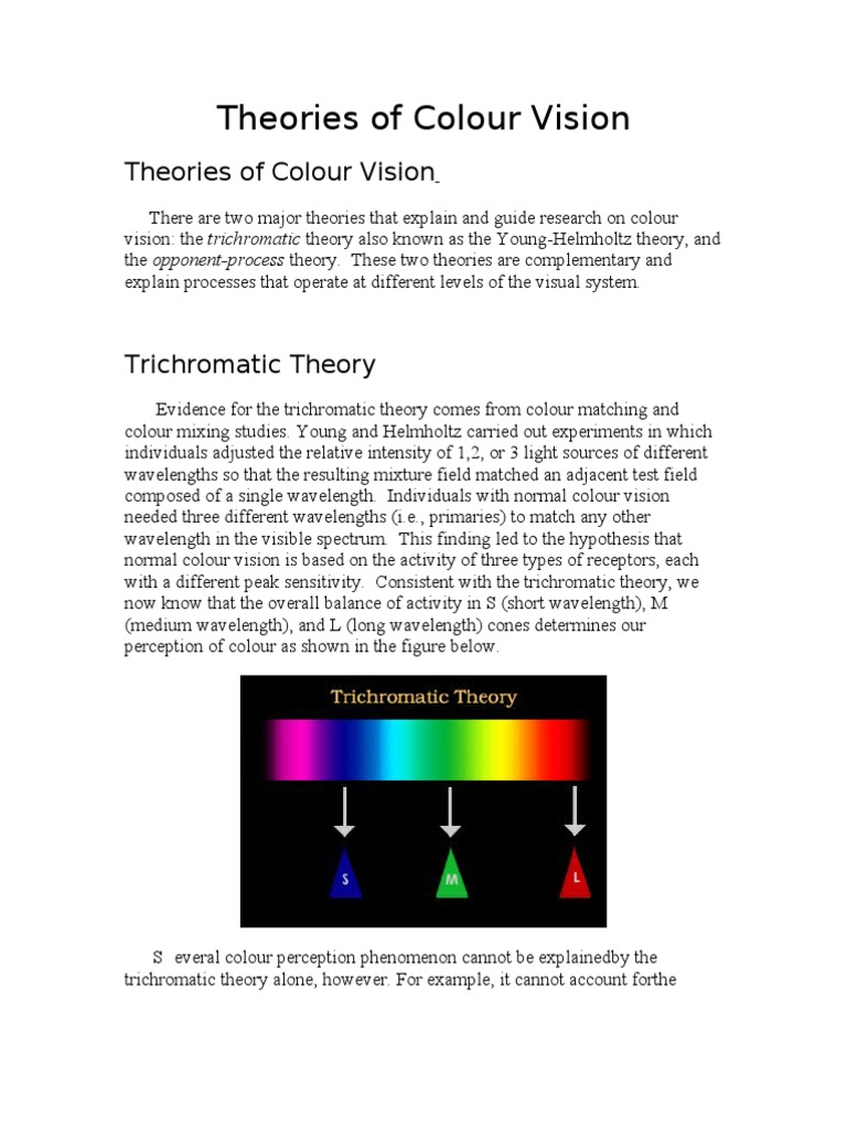 Theories of Colour Vision | Color | Visual Perception