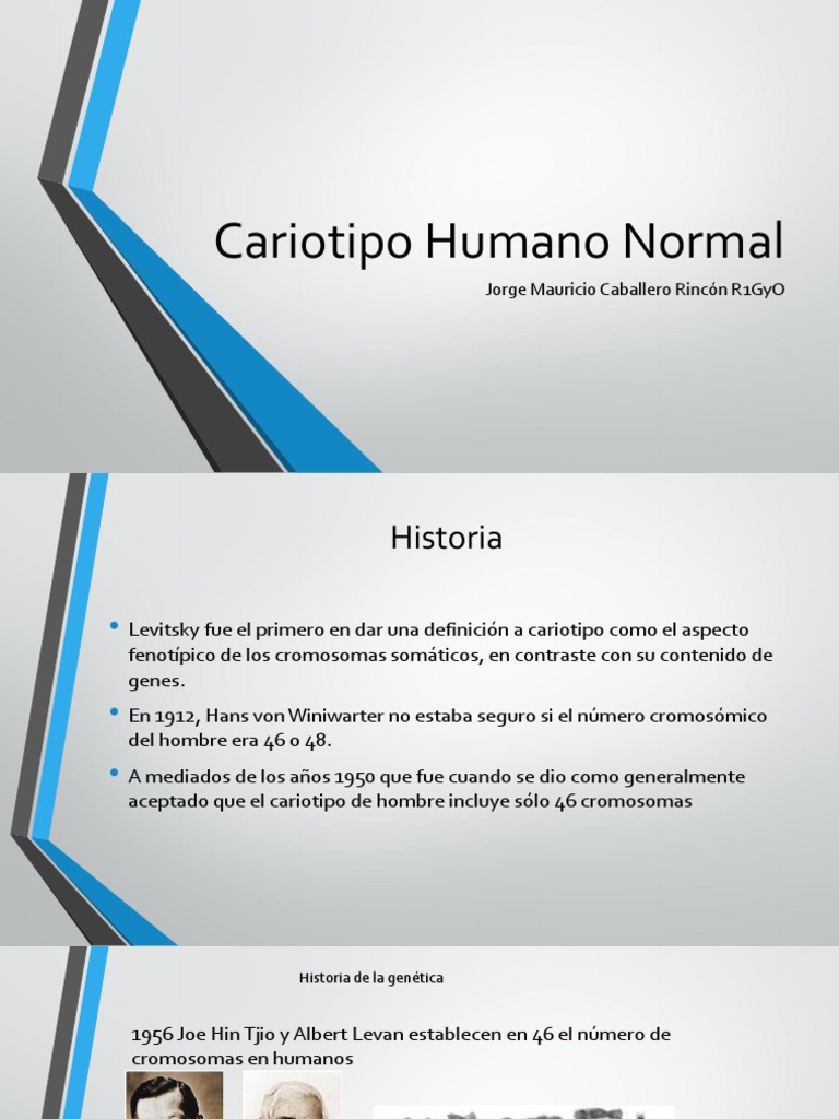 Cariotipo Humano Normal | PDF | Cariotipo | Cromosoma