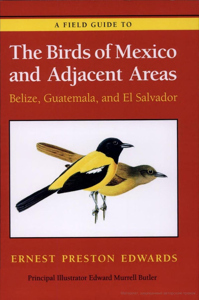 A Field Guide To The Birds of Mexico | PDF