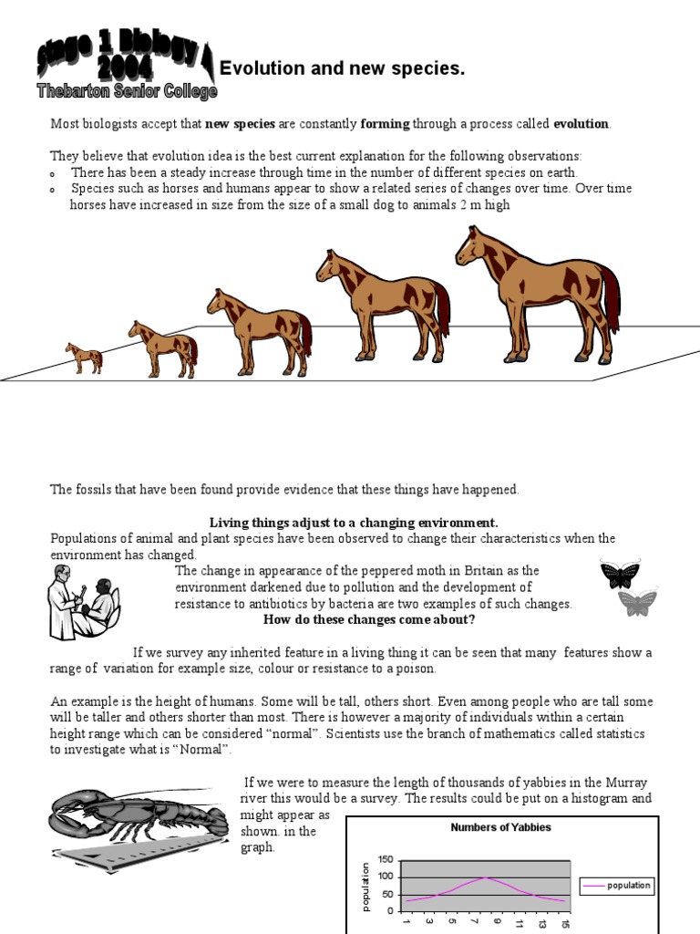 Understanding Evolution and Species Formation | PDF | Evolution | Species