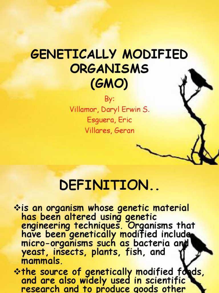 Genetically Modified Organisms | PDF | Genetic Engineering ...