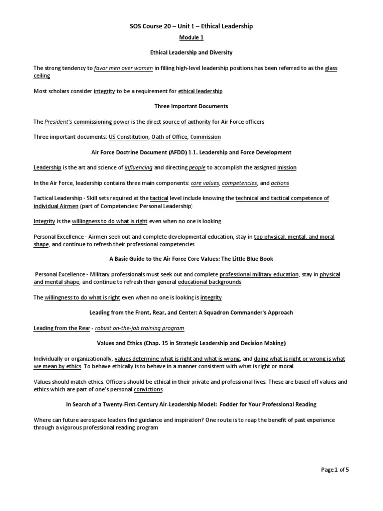 SOS Course 20 Unit 1 | PDF | United States Air Force | Leadership