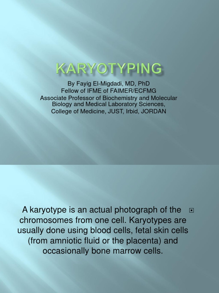 Kar Yo Typing | PDF | Karyotype | Chromosome