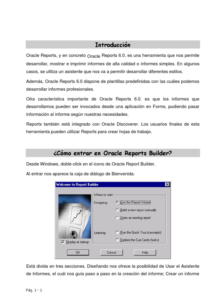 Introducción A Oracle Reports Builder 6 0 Características Interfaz Y Estructura Pdf Pl