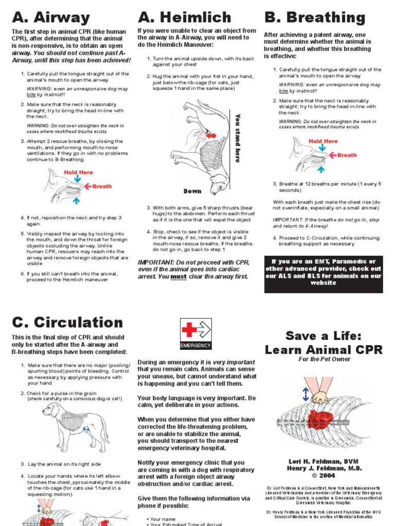 CPR For Dogs | Cardiopulmonary Resuscitation | Veterinary Physician