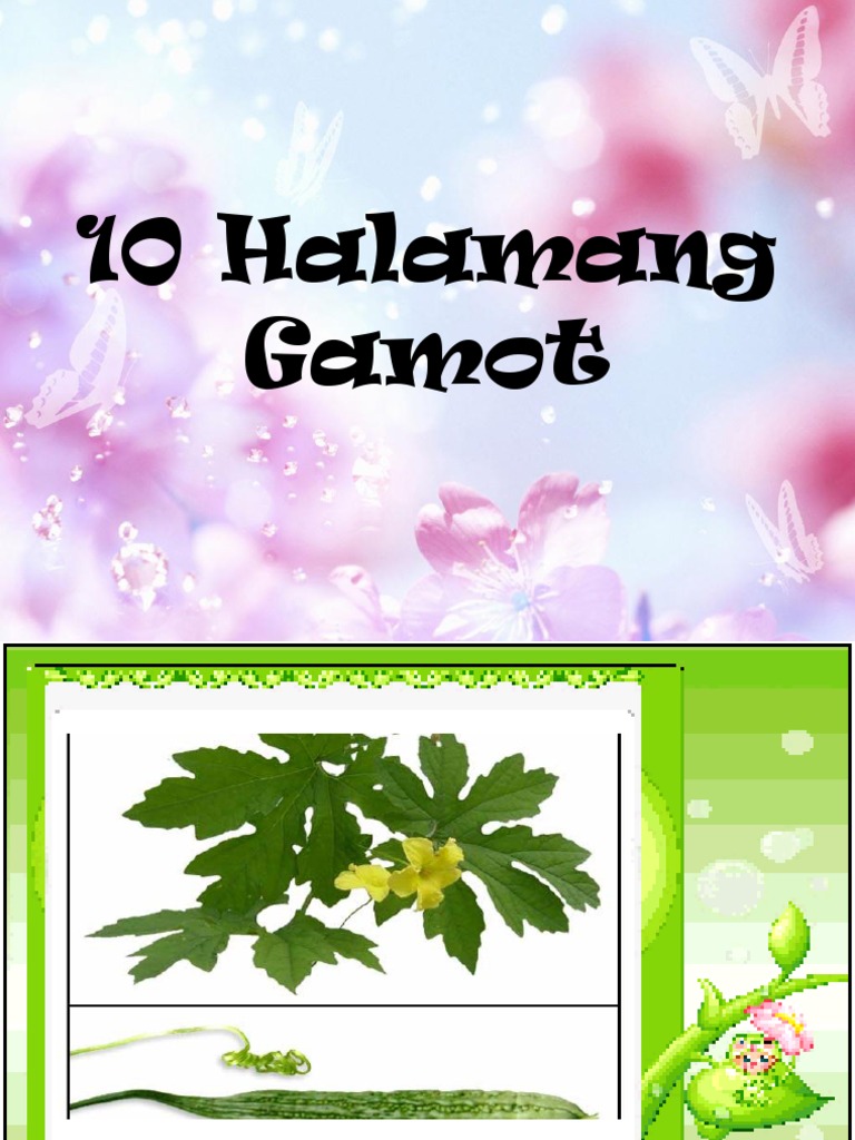10 Halamang Gamot | PDF