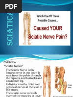sciatica-printable-pdf.pdf | Diseases And Disorders | Human Anatomy