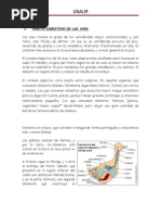 Anatomía Del Aparato Digestivo Del Cerdo | PDF | Sistema digestivo ...