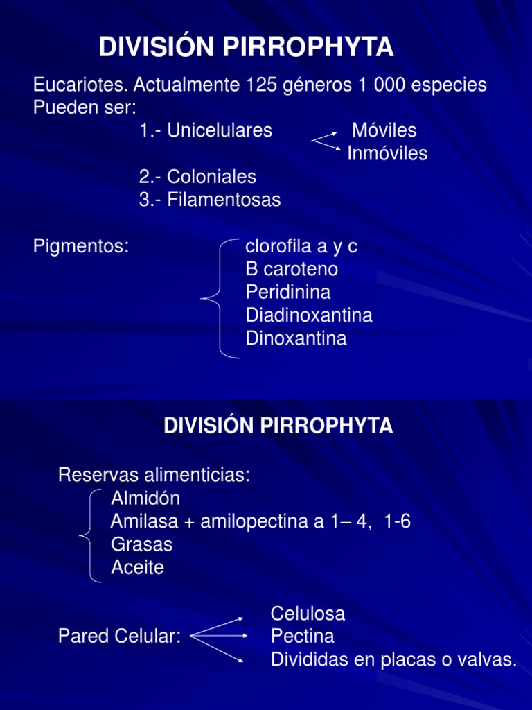 Pyrrophyta | PDF | Biología Celular | Biología