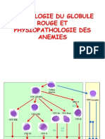 Structure et Fonction du Globule Rouge | PDF | Globule rouge | Membrane ...