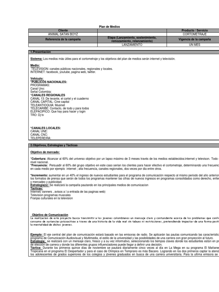 Plan de Medios | PDF | Publicidad | Internet