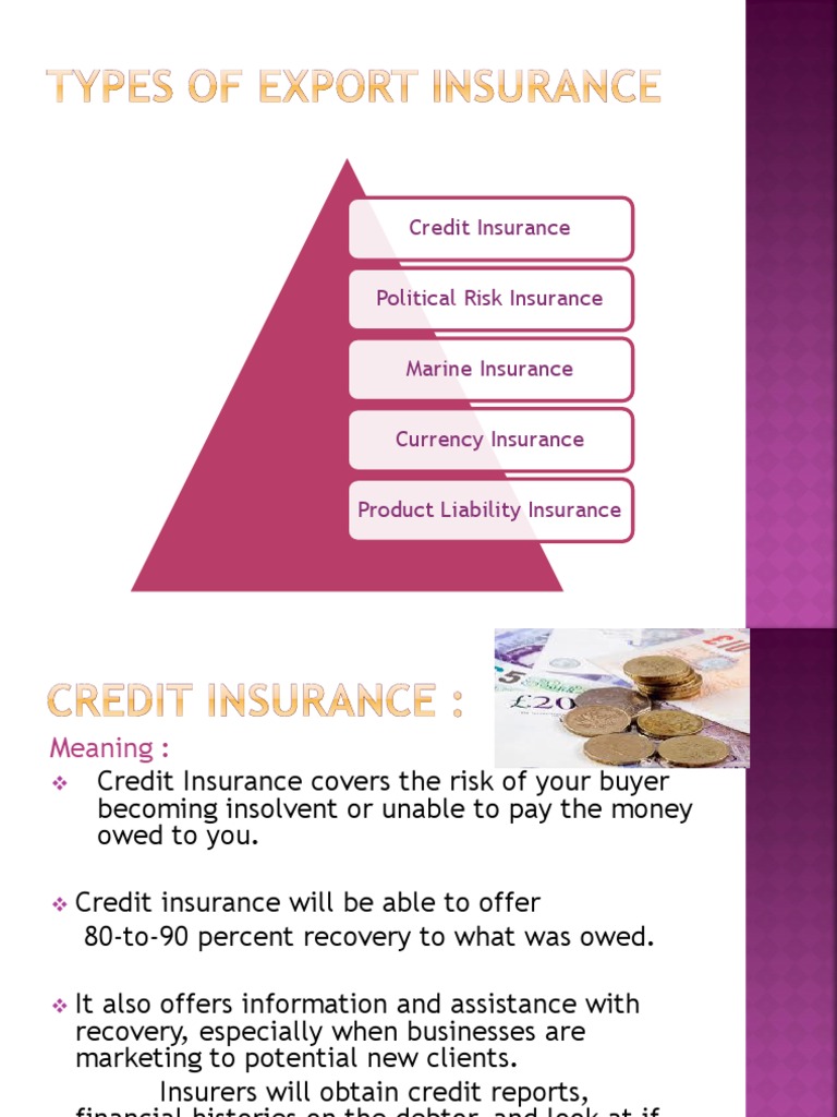 Types of EXPORT Insurance | PDF | Credit (Finance) | Insurance