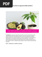 Proyecto-Señor Cabeza de Pasto | PDF