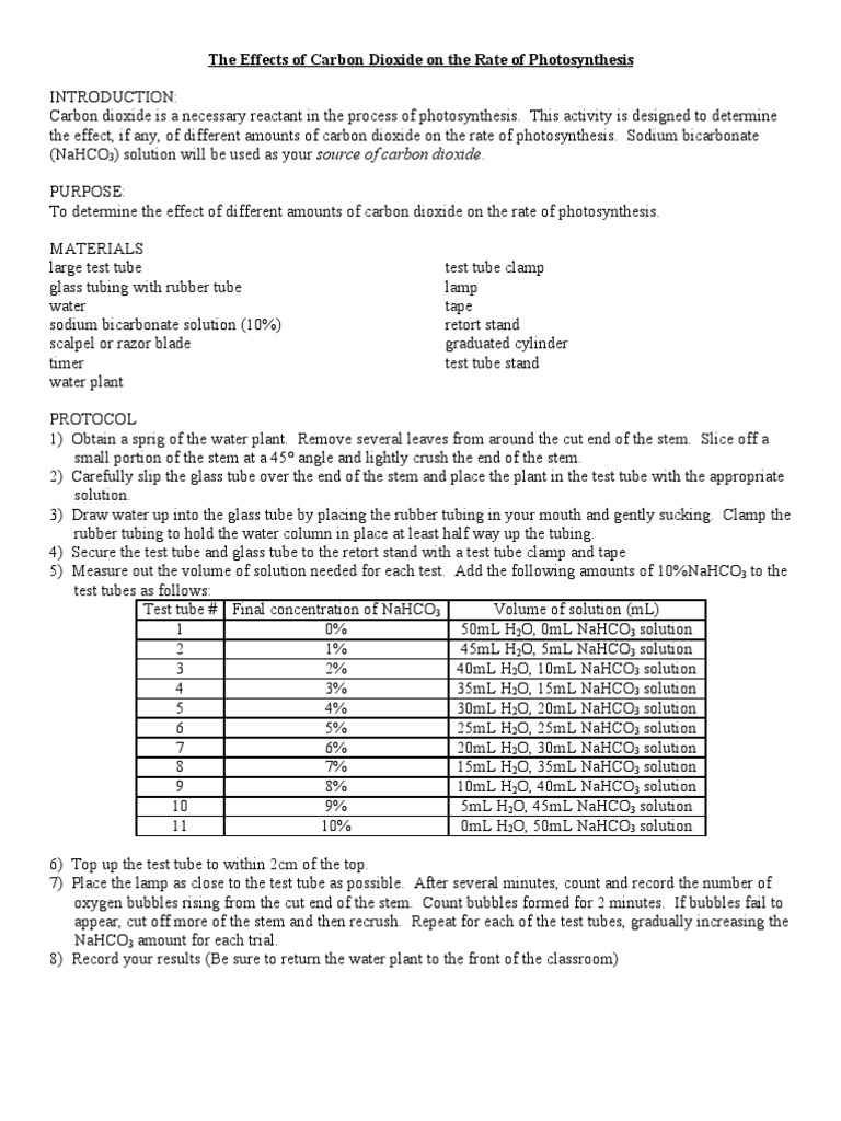 Lab - The Effects of Carbon Dioxide On The Rate of Photosynthesis | PDF ...