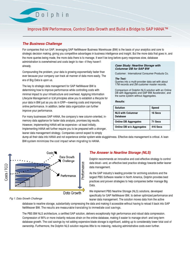 Dolphin Data Archiving For SAP NetWeaver BW Ss | PDF | Sap Se | Backup