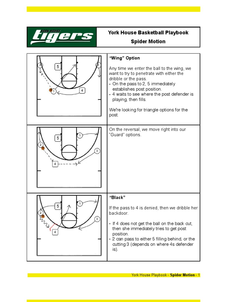 Spider Movement | PDF | Basketball Positions | Games Of Physical Skill
