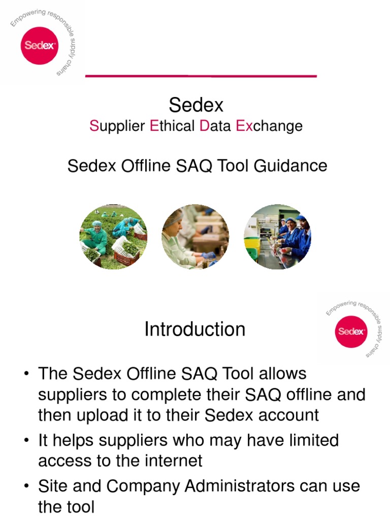 Sedex Offline SAQ Guidance | PDF