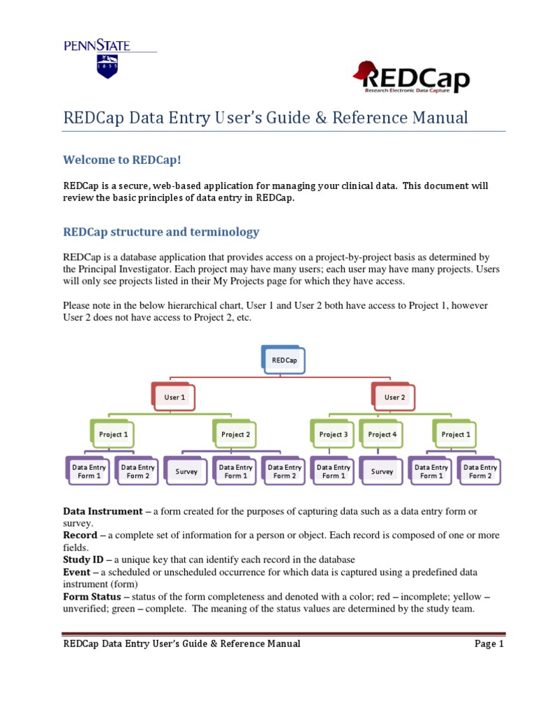 REDCap Data Entry | Databases | User (Computing)