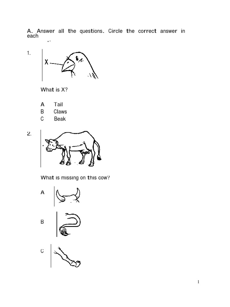 A. Answer All The Questions. Circle The Correct Answer in Each ...