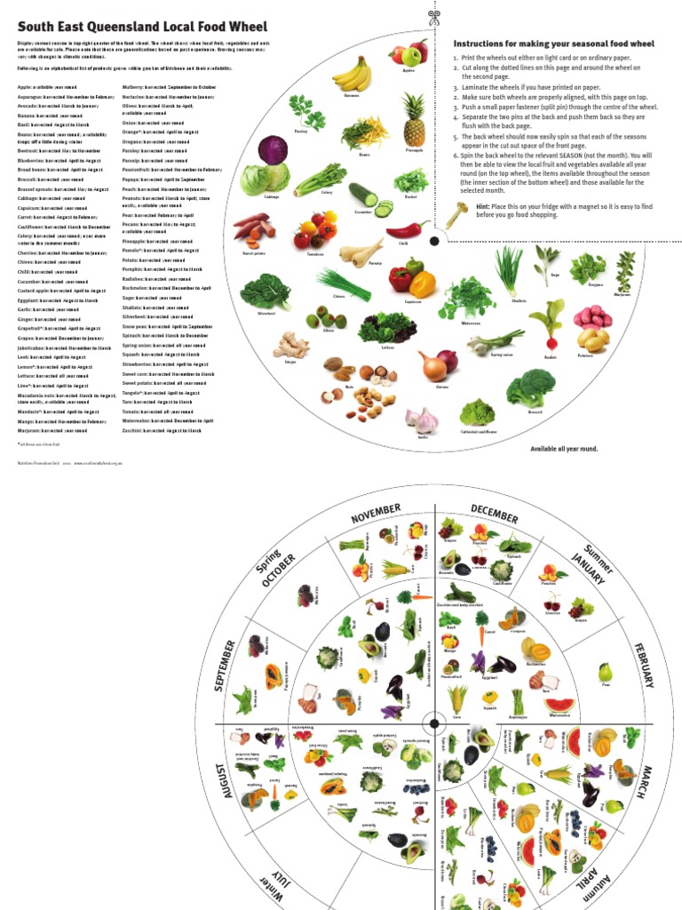 A3 Food Wheel | PDF | Fruit | Vegetables