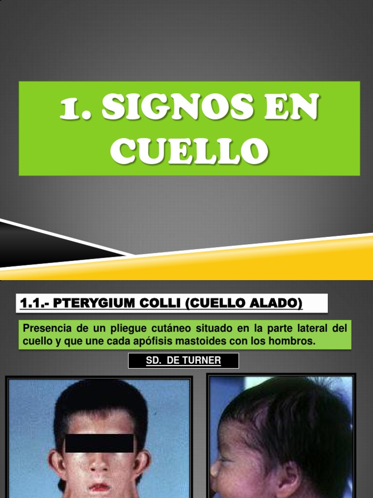 Signos Frecuentes en Cuello y Torax en RN | PDF | Pecho | Enfermedades ...